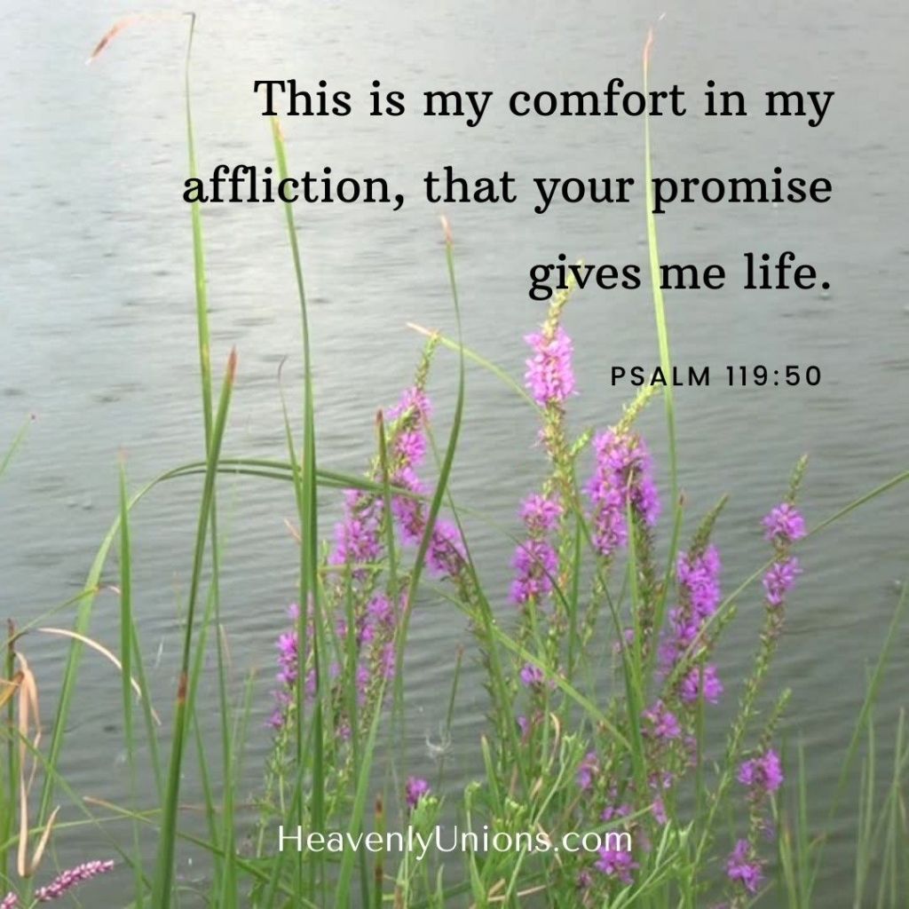 Medicine Nightmare - MARLENE BURLING